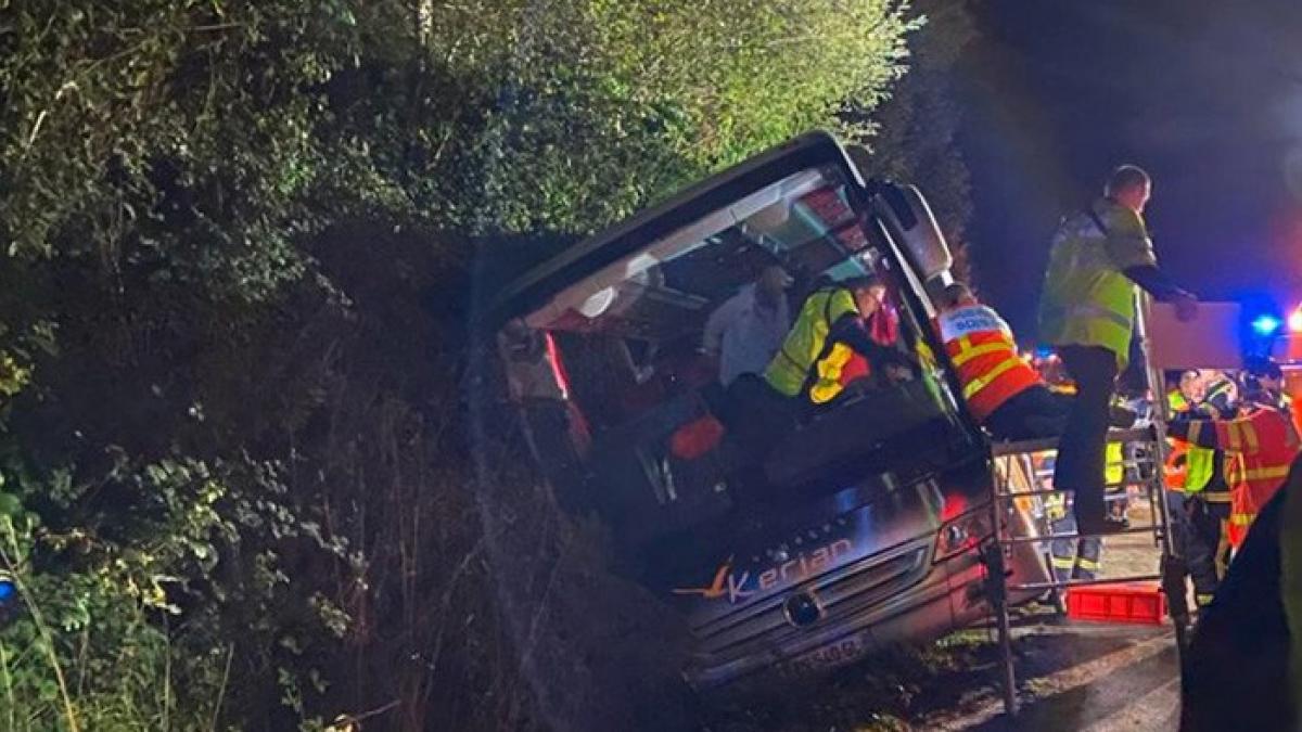 Player - Mathys Tel | Page 201 | The Fighting Cock - Tottenham Hotspur ...