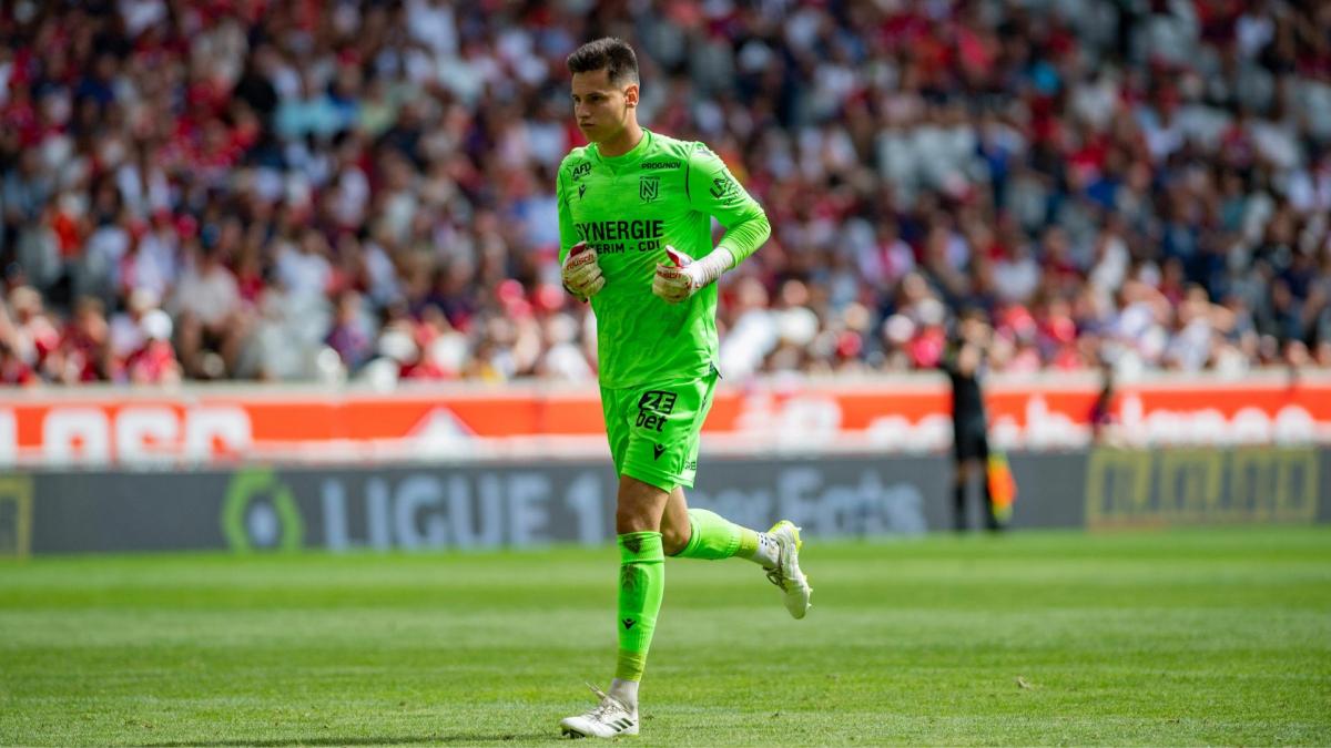 L’OL officialise la venue de Rémy Descamps