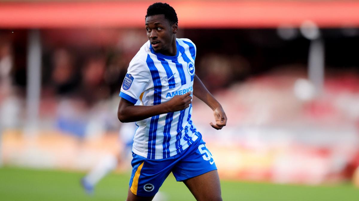 Bokep area 51 was aware of Blaire from her adult movies and