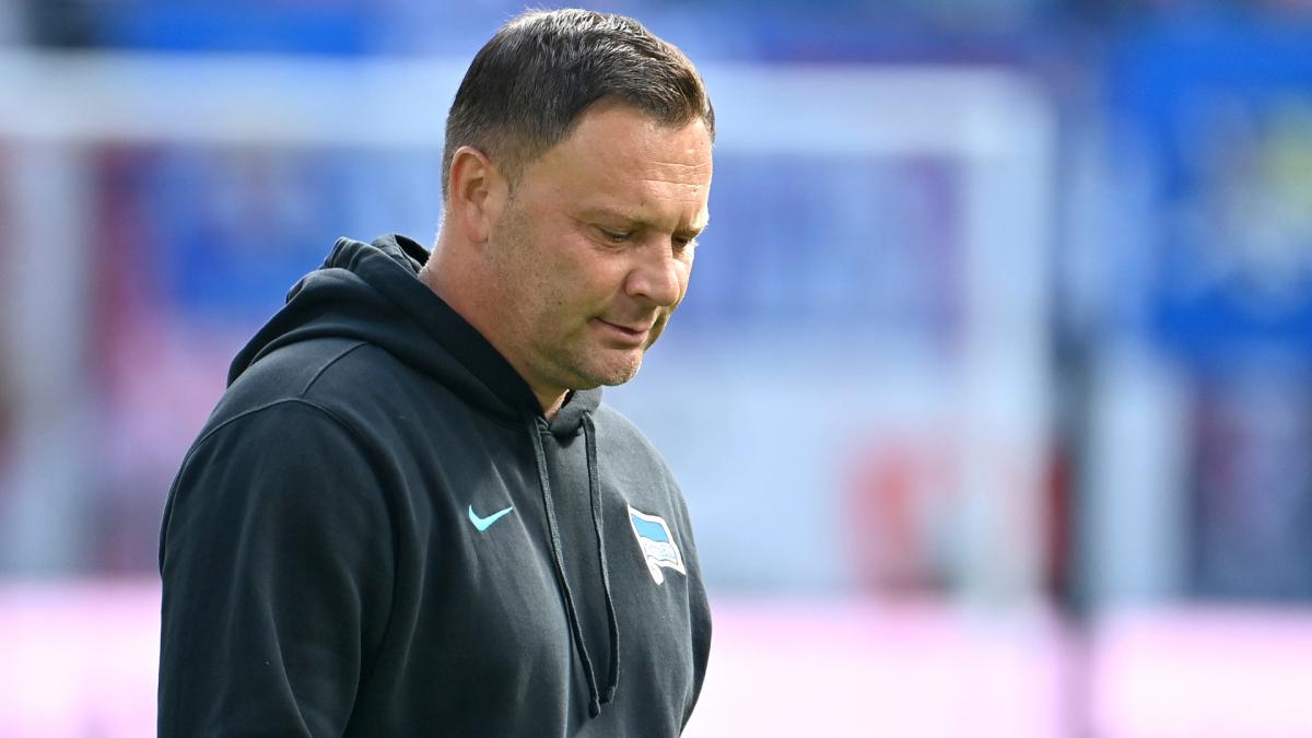 Pal Dardai licencié par le Hertha Berlin